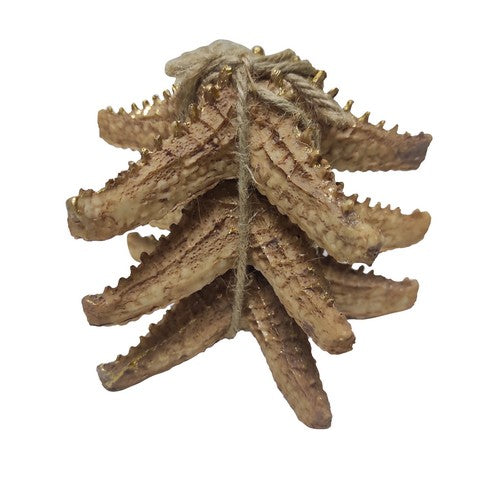Triple Stack Starfish in Natural – Mermaid Cove