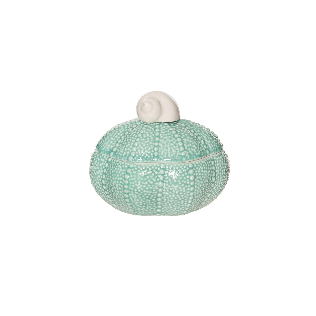 Green/Bisque Turtle Box – Mermaid Cove
