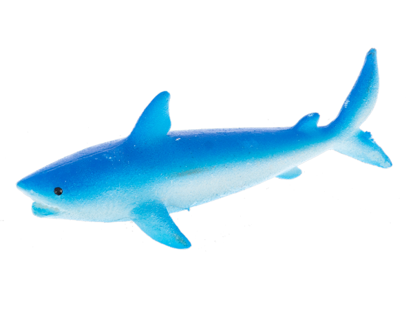 Grow A Shark Toy – Mermaid Cove